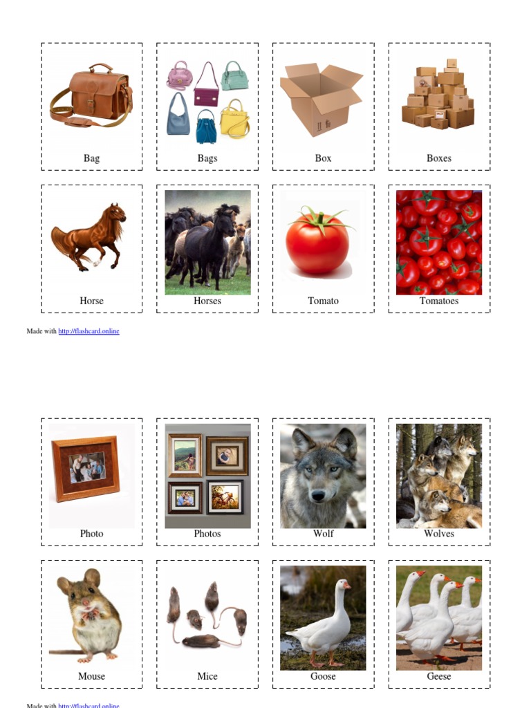 Plurals Flash Cards PDF | PDF