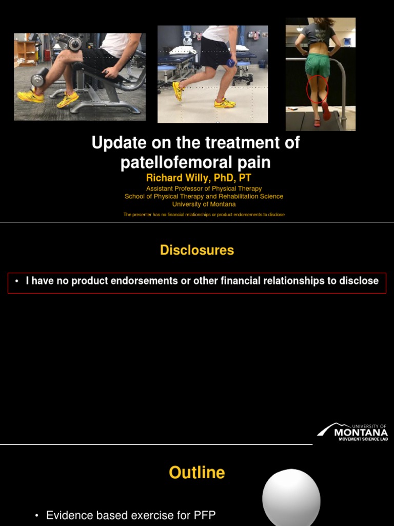 WillyRW PFP CSM 2019 Posted | PDF | Physical Therapy | Lower Limb Anatomy
