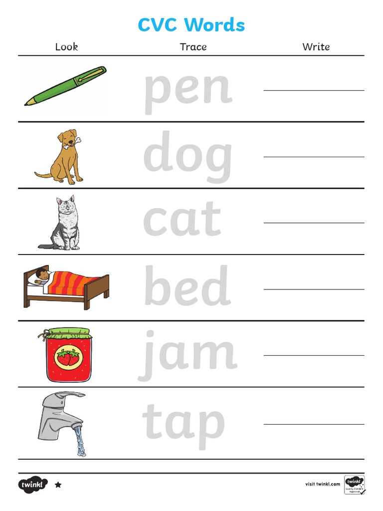 T L 9229 CVC CCVC and CVCC Activity Sheet - Ver - 2 | PDF