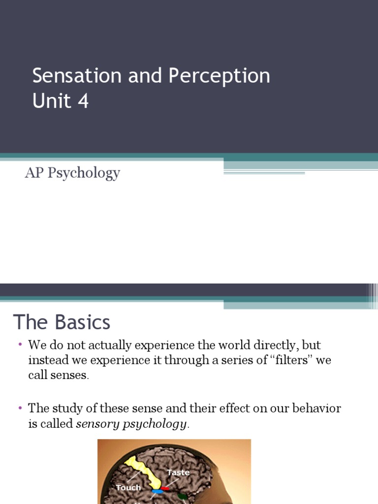 Sensation and Perception Unit 4: AP Psychology | PDF | Perception ...
