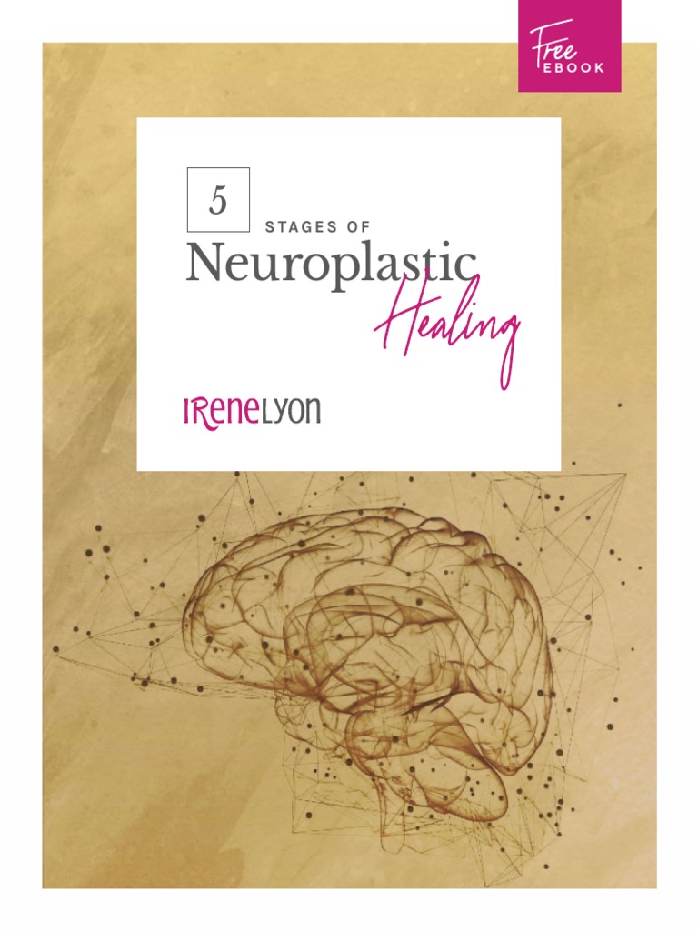 Neuroplastic: Stages of | PDF | Neuroplasticity | Brain