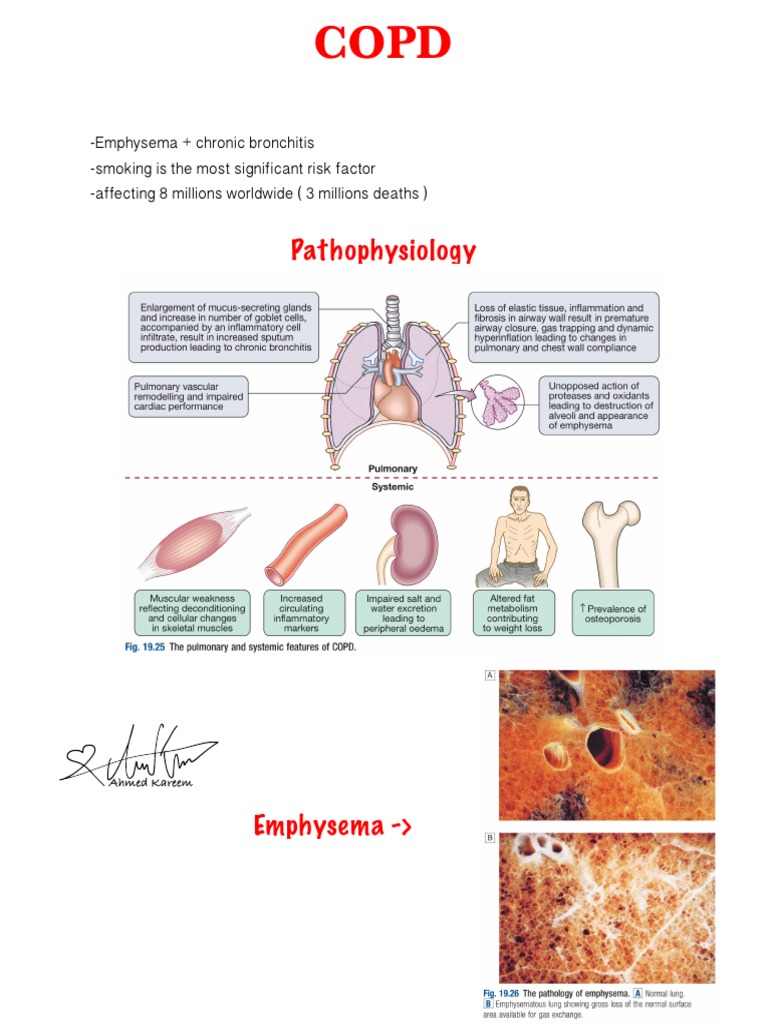 COPD | PDF | Chronic Obstructive Pulmonary Disease | Diseases And Disorders
