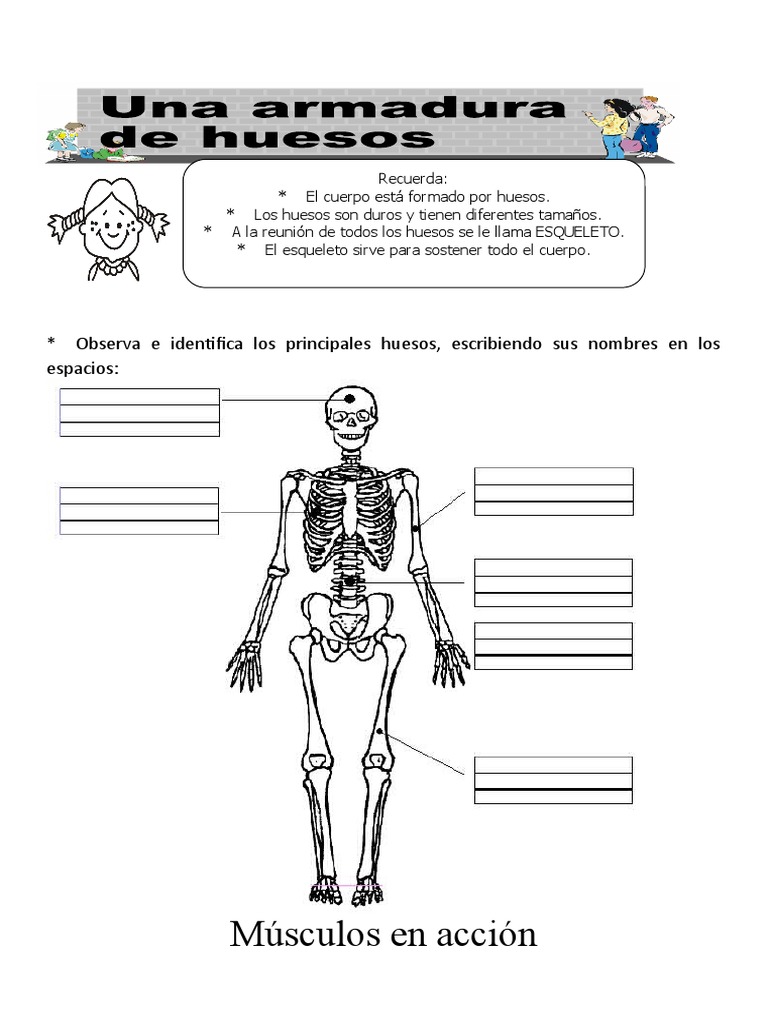 Observa e Identifica Los Principales Huesos | PDF