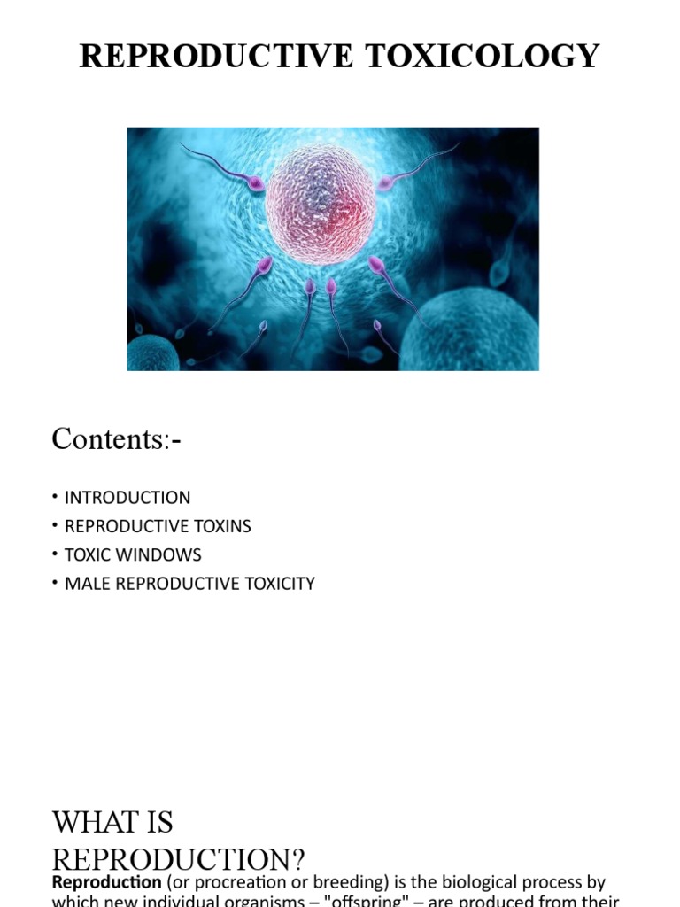 Reproductive Toxicology | PDF | Epigenetics | Reproduction