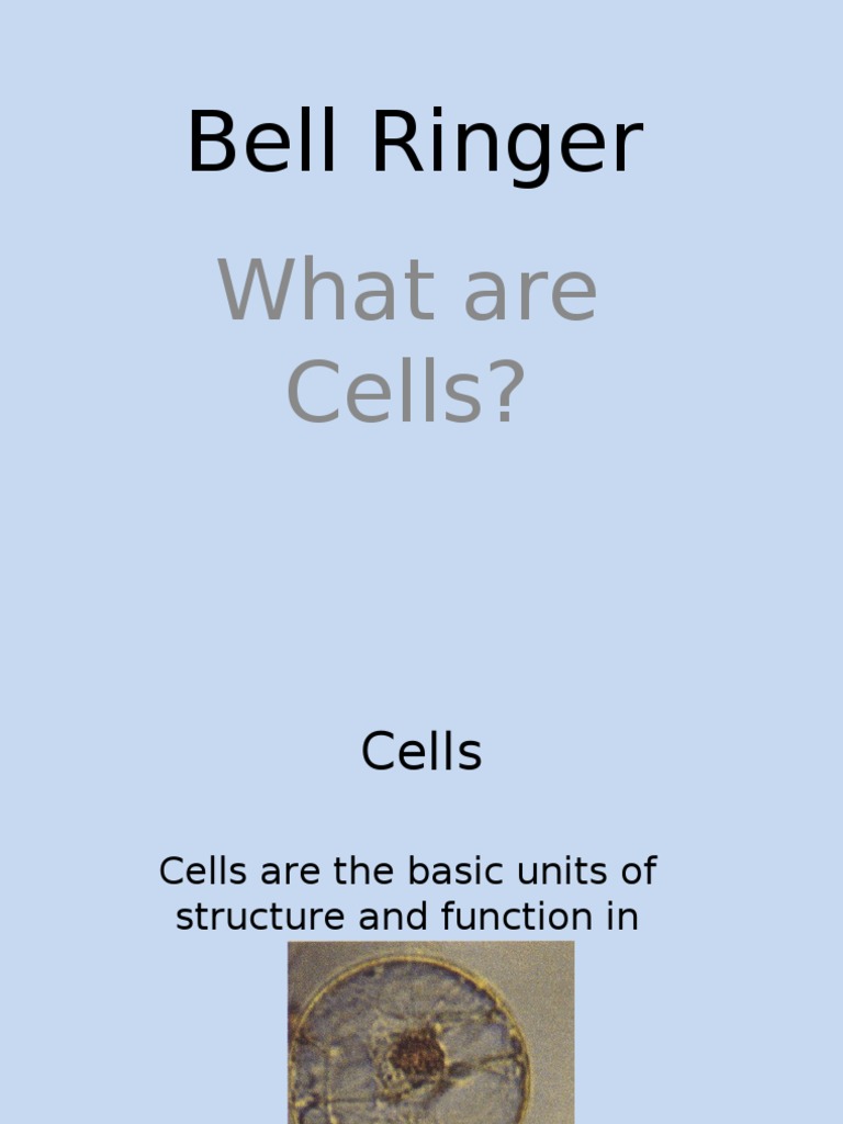 Bell Ringer: What Are Cells? | PDF | Lens (Optics) | Microscope