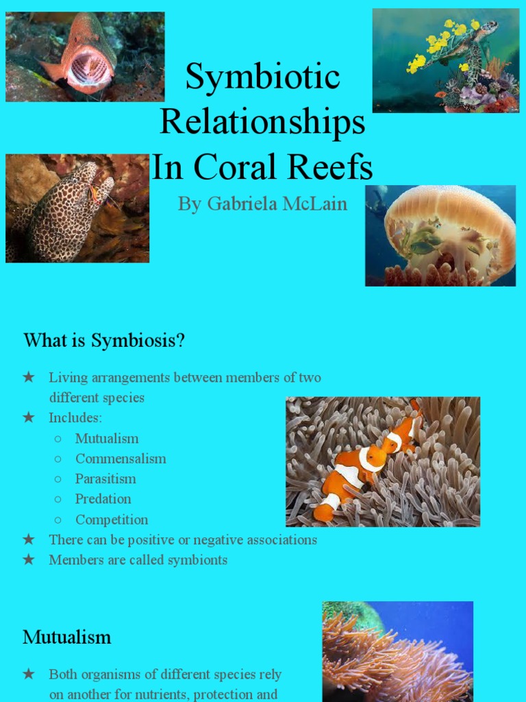 Gabriela's Final Project | PDF | Coral Reef | Symbiosis