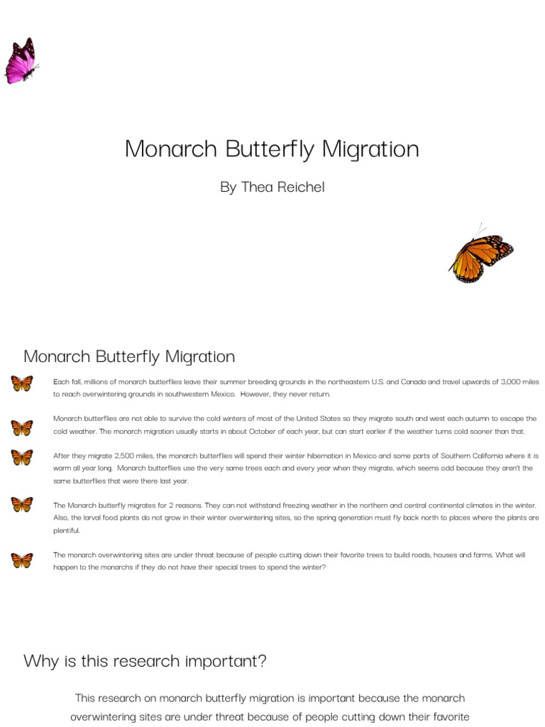 Thea's Monarch Butterfly Migration Biology Final Project | PDF ...