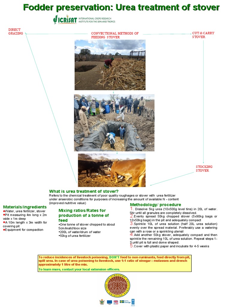 ZRBF Urea Treatment of Stover Presentation | PDF | Urea | Fertilizer