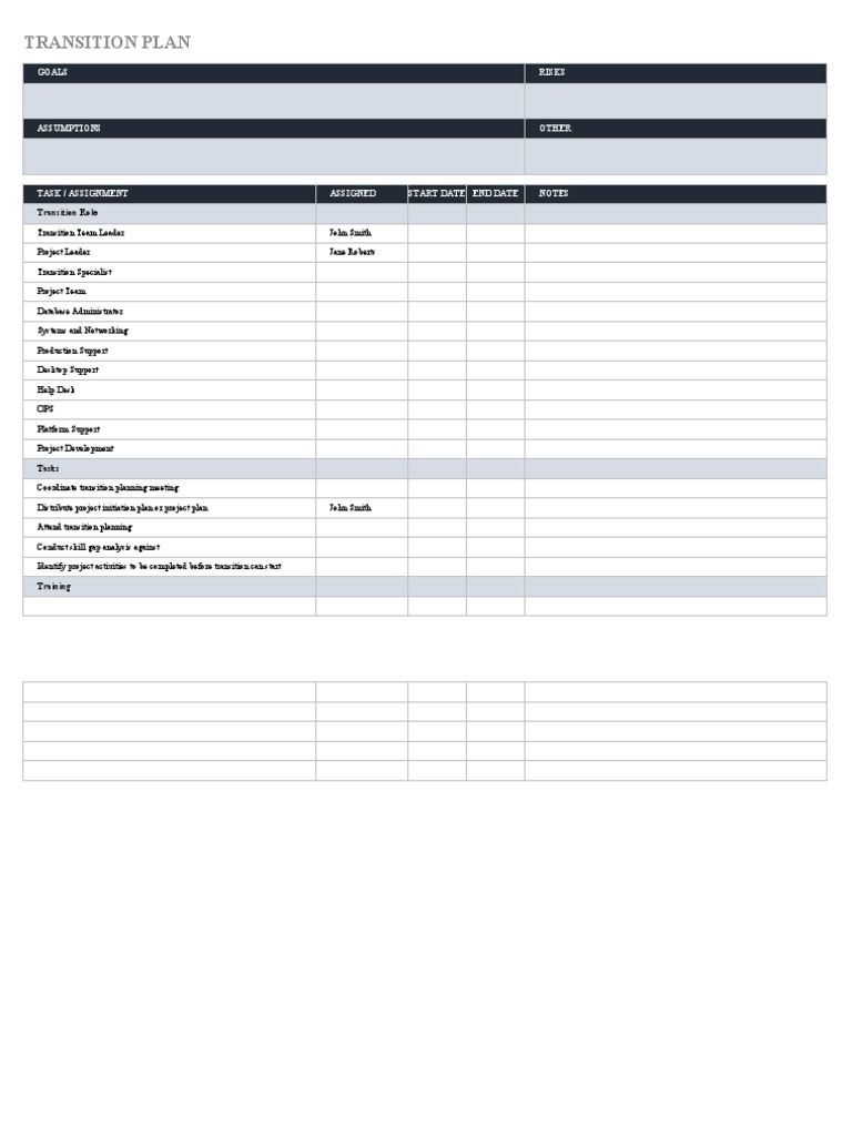 Transition Plan: Goals Risks | PDF