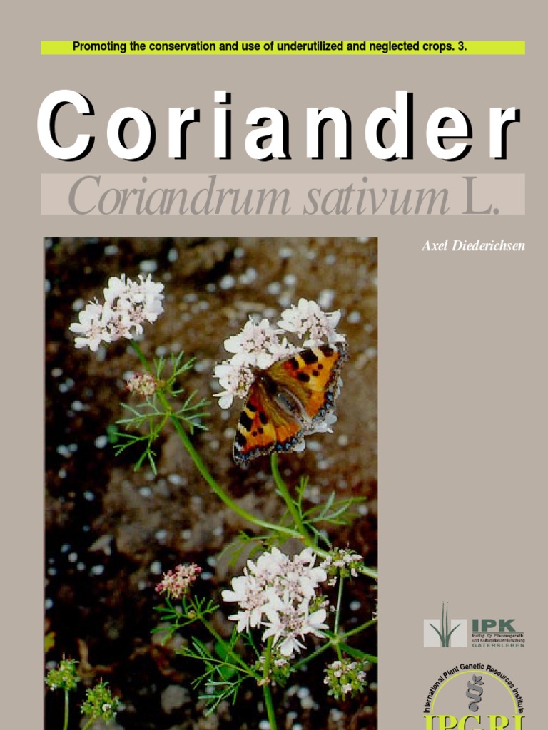 Coriandrum Sativum L.: Coriander | PDF | Flowers | Pollination