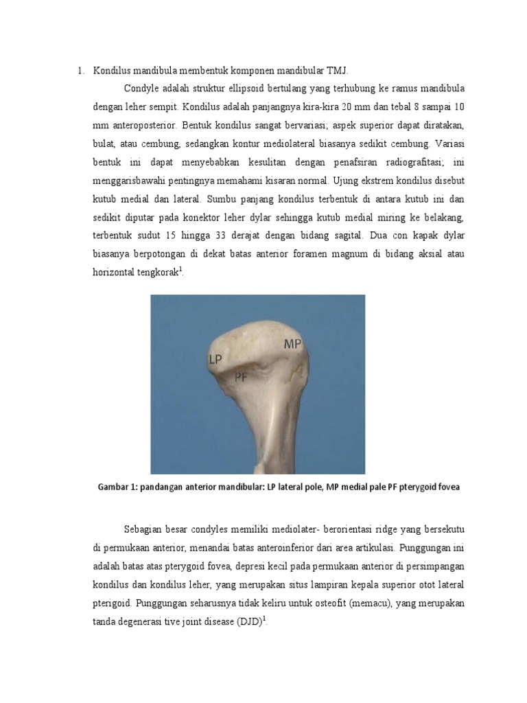 Gambaran Radiografi TMJ | PDF