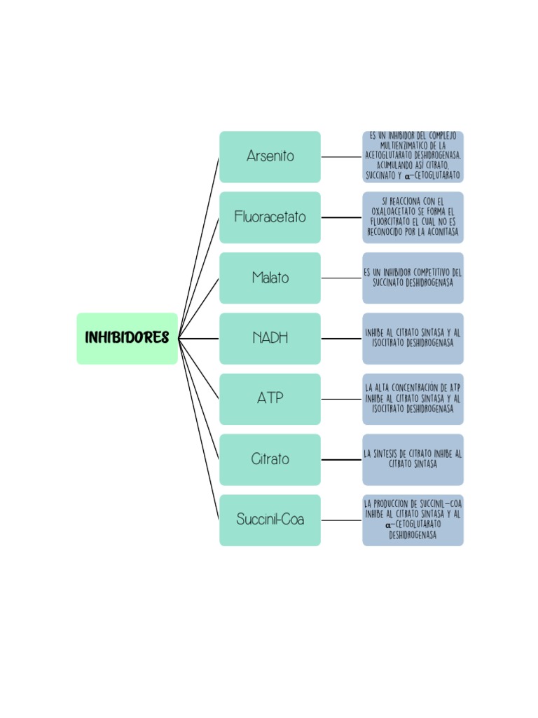 Inhibidores y Activadores | PDF