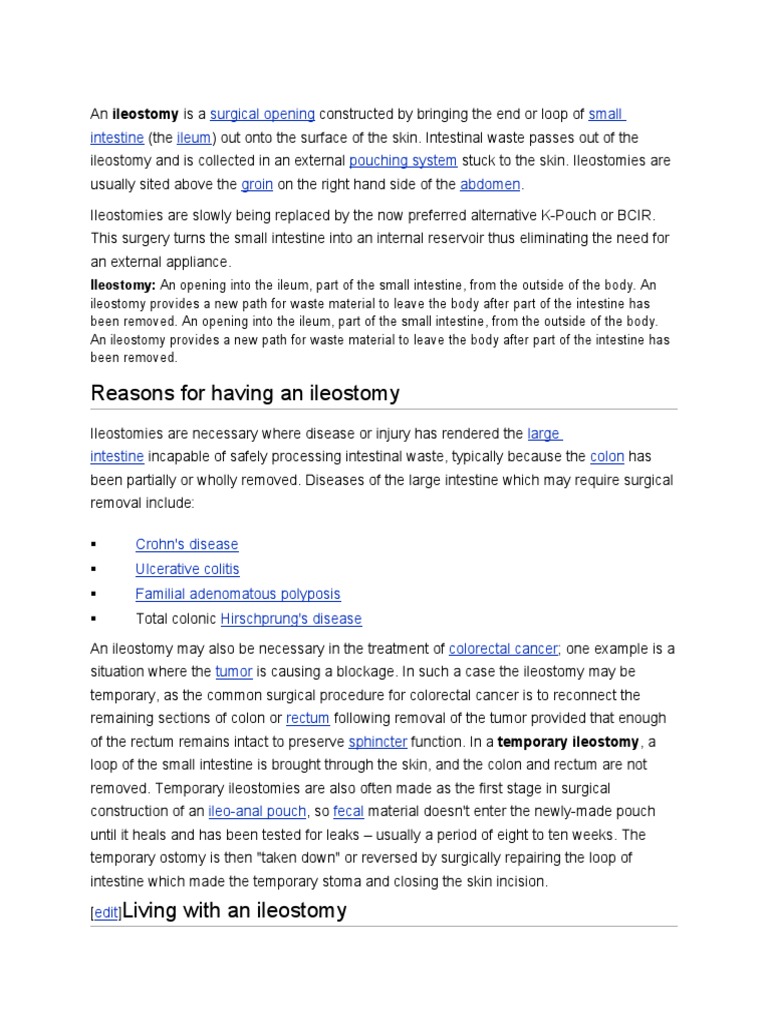 Reasons For Having An Ileostomy: Surgical Opening Small Intestine Ileum ...