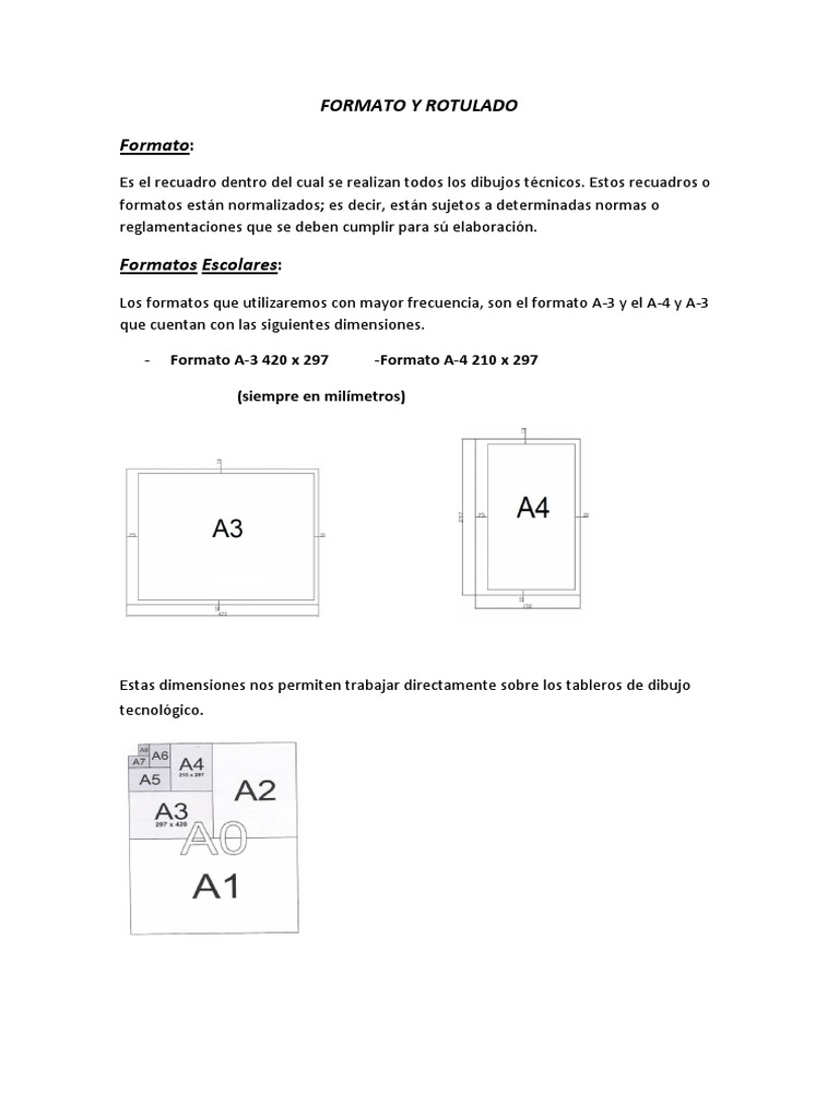 Formato y Rotulado | PDF