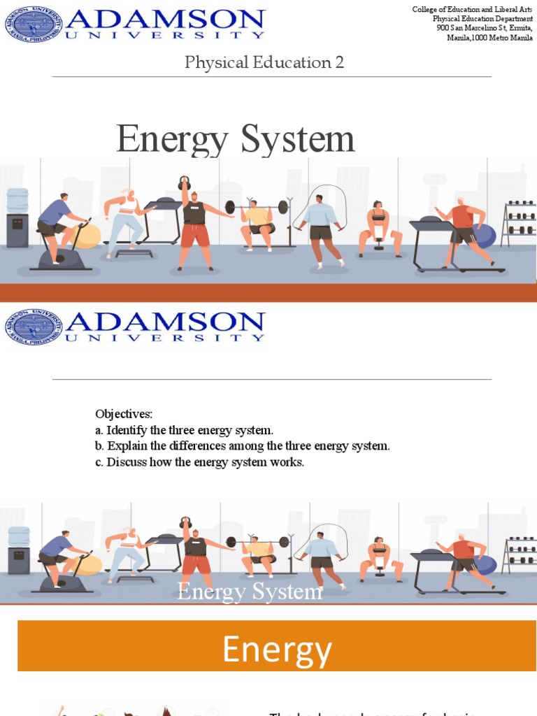 Energy System: Physical Education 2 | Download Free PDF | Nutrients ...