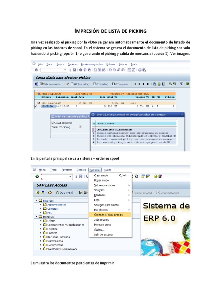 Impresiu00F3n de Lista de Picking | PDF