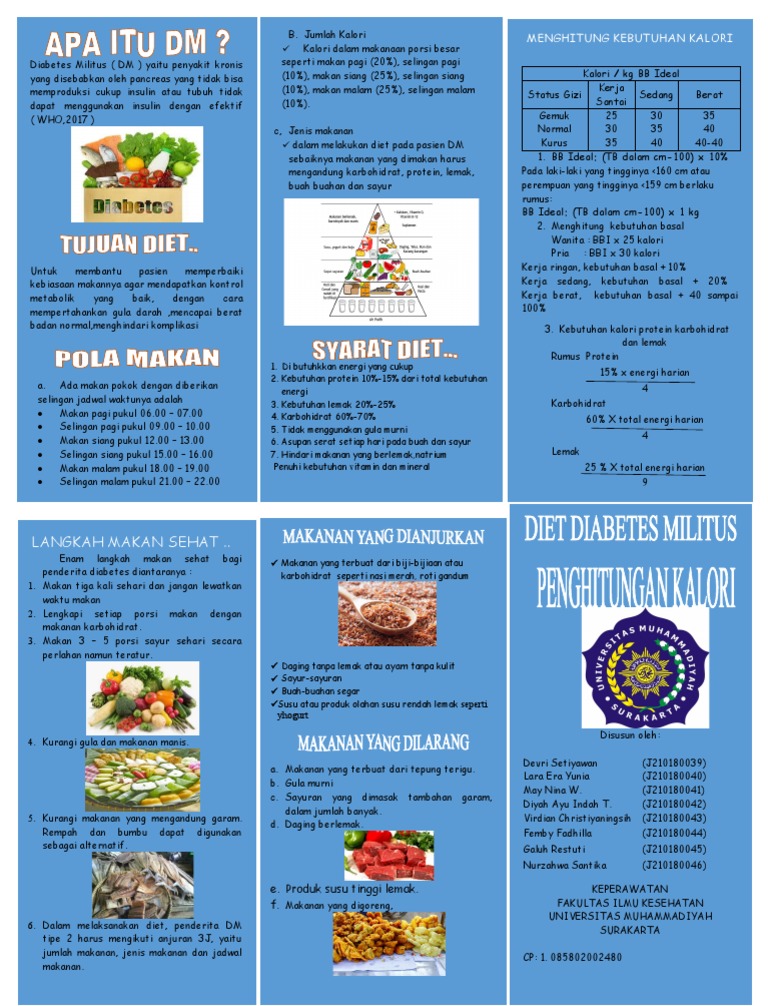 Leaflet Diet DM | PDF