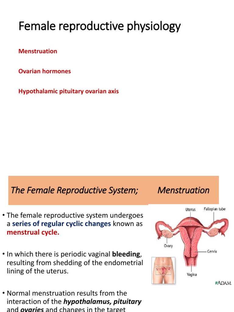 Reproductive Physiology (Female) | PDF | Menstrual Cycle | Ovary
