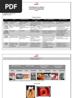 Diagnostico Pulpar y Periapical | PDF | Dolor | Inflamación