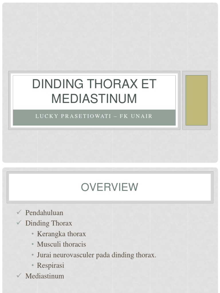 Dinding Thorax Et Mediastinum PDF | PDF | Thorax | Thorax (Human Anatomy)