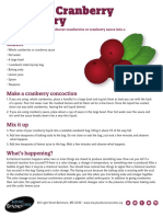 Orange Fizz Experiment | PDF
