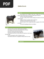 Animal Science Terms | PDF | Chicken | Cattle
