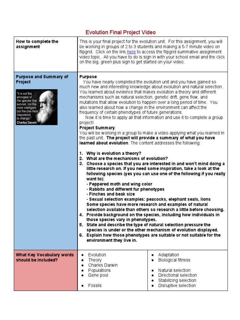 Evolution Graphic Organizer Assessment | PDF | Natural Selection ...