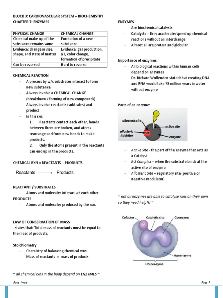 Biochemistry of Enzymes and the Cardiovascular System | PDF | Cofactor ...