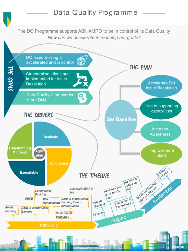 Data Quality Programme: The Plan | PDF