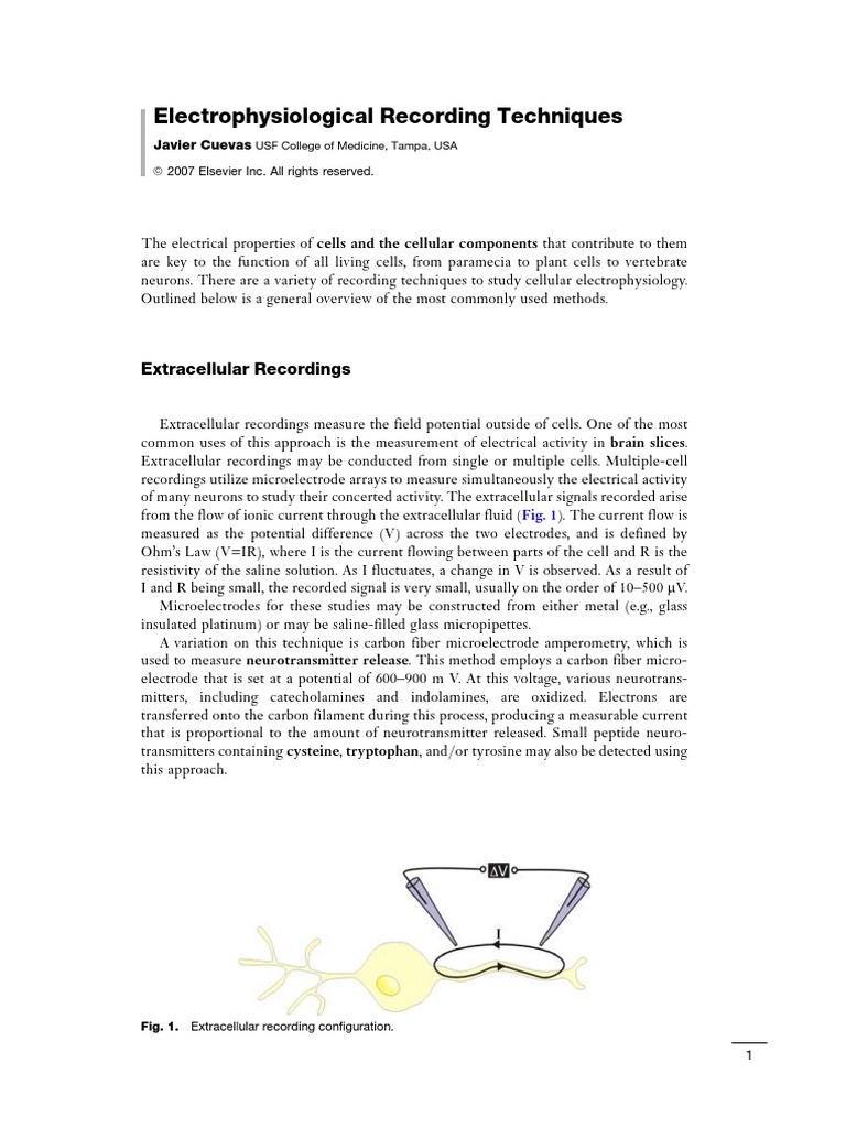 Electrophysiological Recording Techniques PDF | PDF | Electrophysiology ...