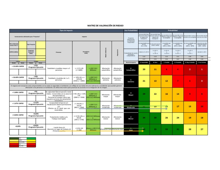 Matriz RAM 2 | PDF | Bienestar | Medicina