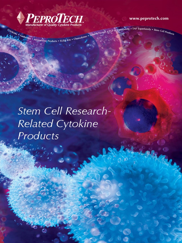 Stem Cell Booklet | PDF | Histone | Chromatin