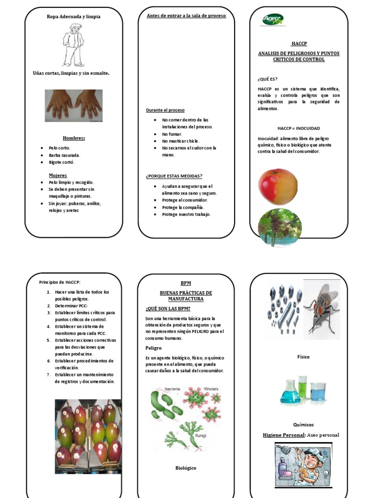 Ropa adecuada, higiene personal y medidas durante el proceso para ...