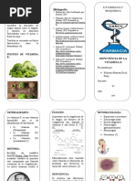 Profilaxis Neonatal: Ojos, Vitamina K y Cordón | PDF | Parto ...