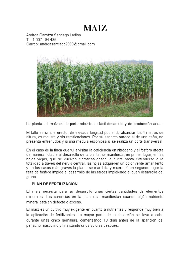 Plan de Fertilización | PDF | Fertilizante | Maíz