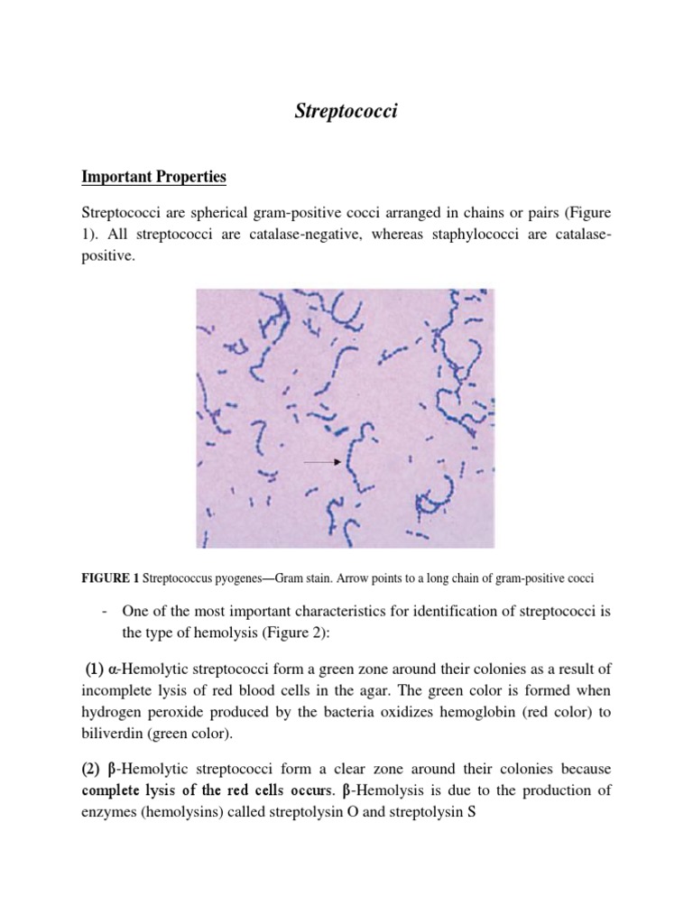 Msa Computer | PDF | Streptococcus | Vaccines