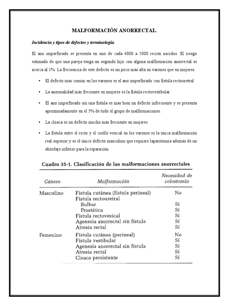 Malformación Anorrectal | PDF | Vagina | Músculo