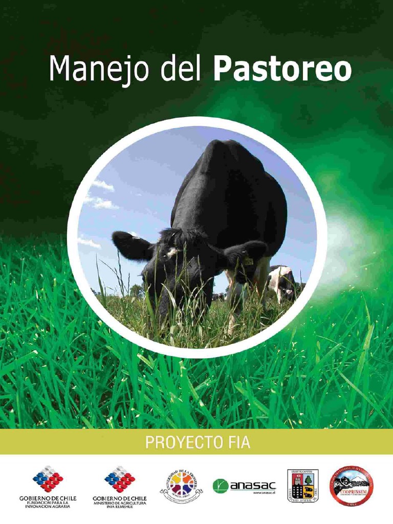 Manejo Del Pastoreo PDF | PDF | Hoja | Tallo de la planta