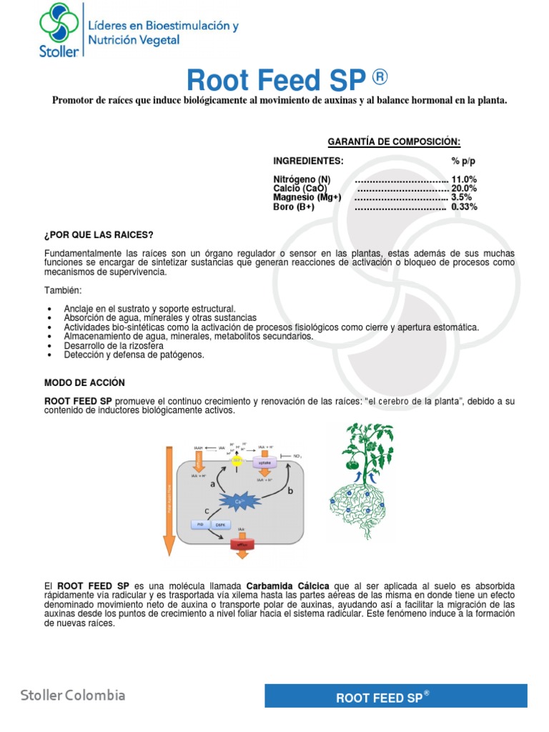 Root Feed SP Informacion Relevante | Descargar gratis PDF | Auxina | Calcio