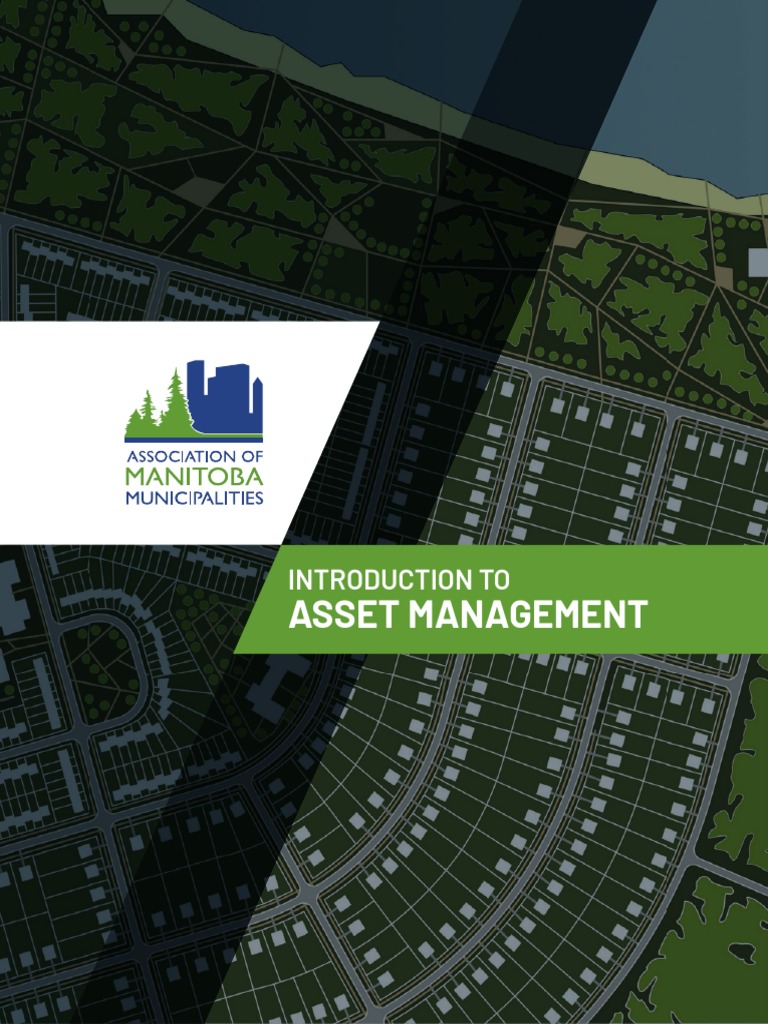 AMM Asset Management Guide | PDF | Asset Management | Strategic Planning