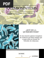QUIMIOTROFOS | PDF | Sustancias químicas | Biología