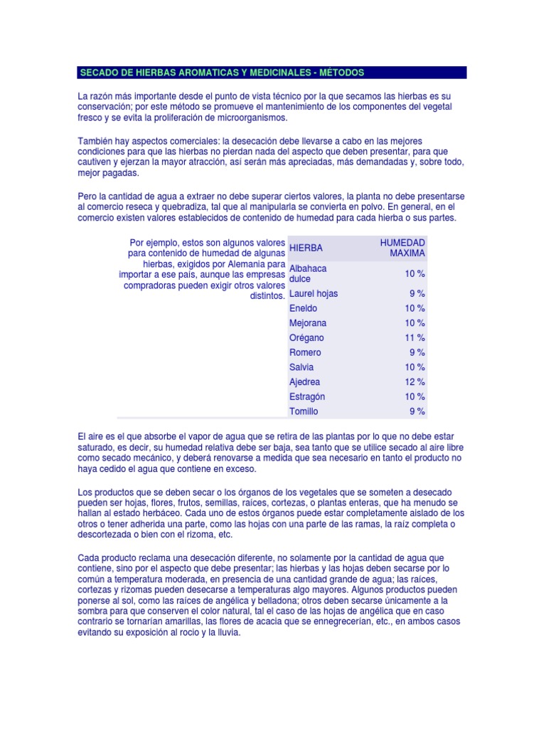 Secado De Hierbas Aromaticas Y Medicinales Pdf Plantas Naturaleza