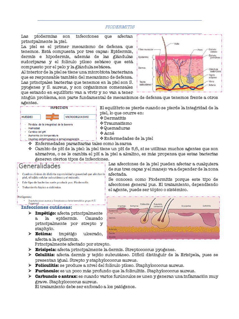 PIODERMITIS | PDF | Piel | Staphylococcus Aureus