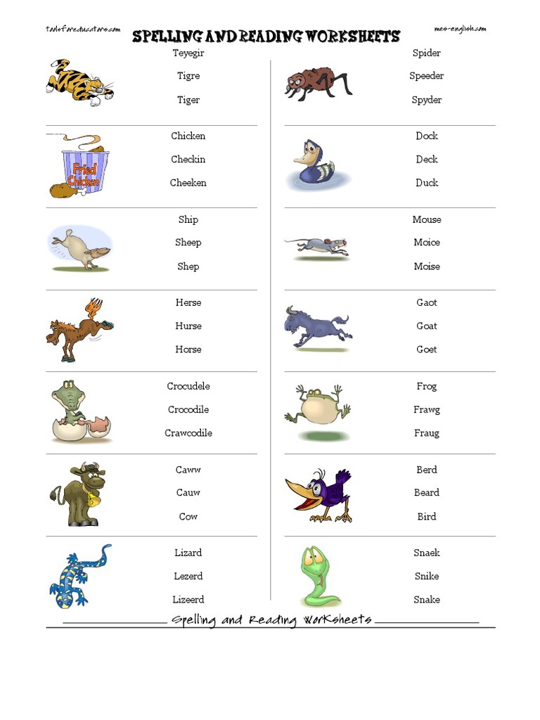 READING - Choose Correct Spelling PDF | PDF