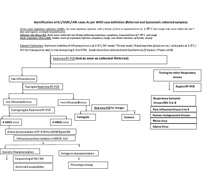 Influenza Algorithm | PDF | Influenza | Virology