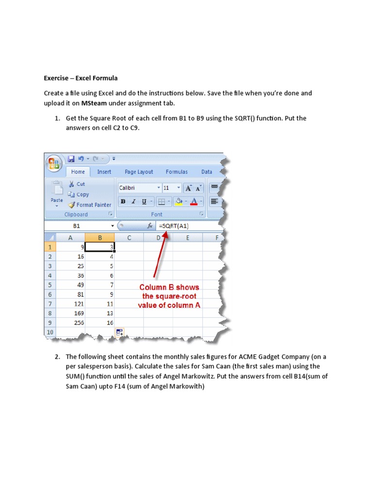 Exercise Excel Formula | PDF