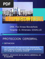 Protocolo Rose | PDF | Reanimación cardiopulmonar | Medicina CLINICA