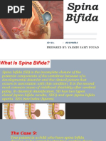 Shs.510.Lec.19 Spina Bifida | PDF | Vertebral Column | Physical Therapy