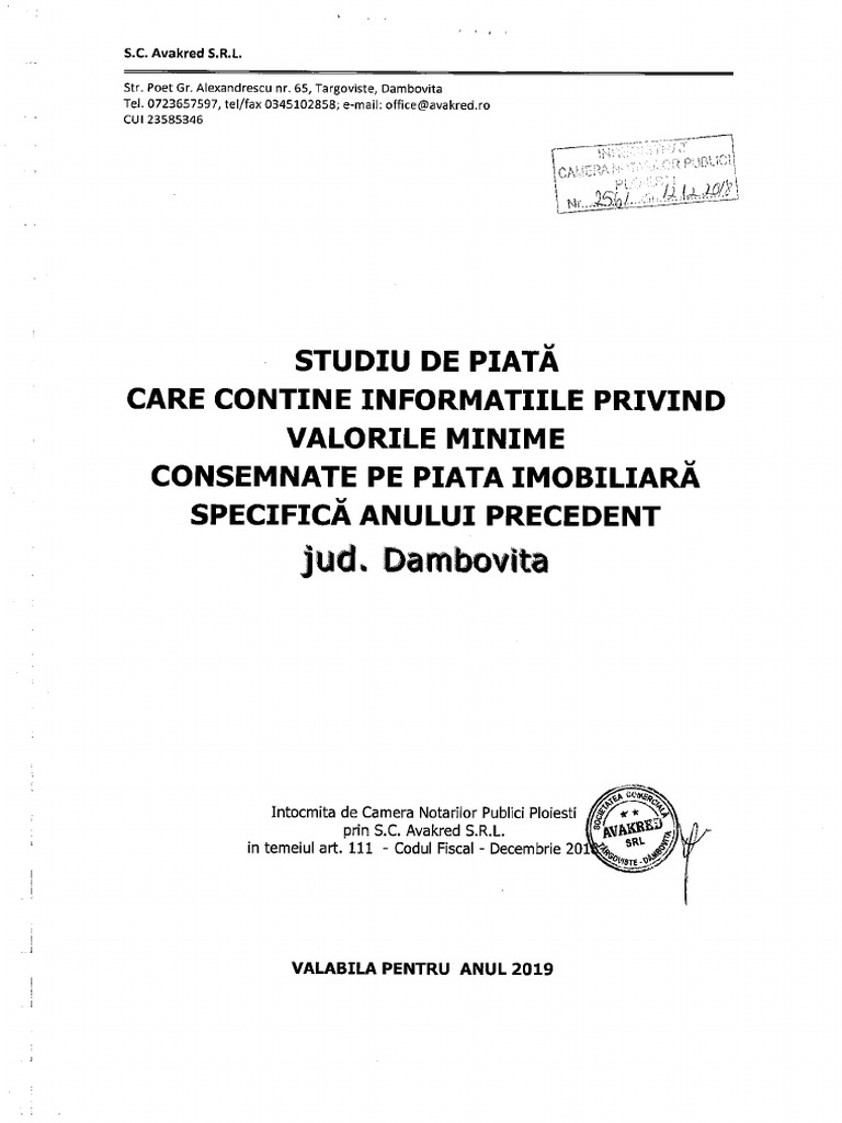 Studiu de Piata Dambovita | PDF