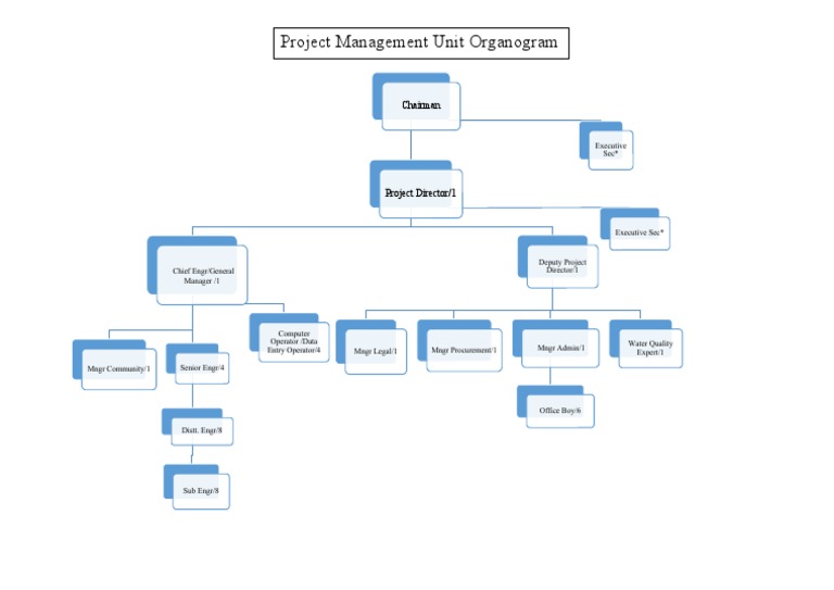 Project Management Unit Organogram: Chairman | PDF